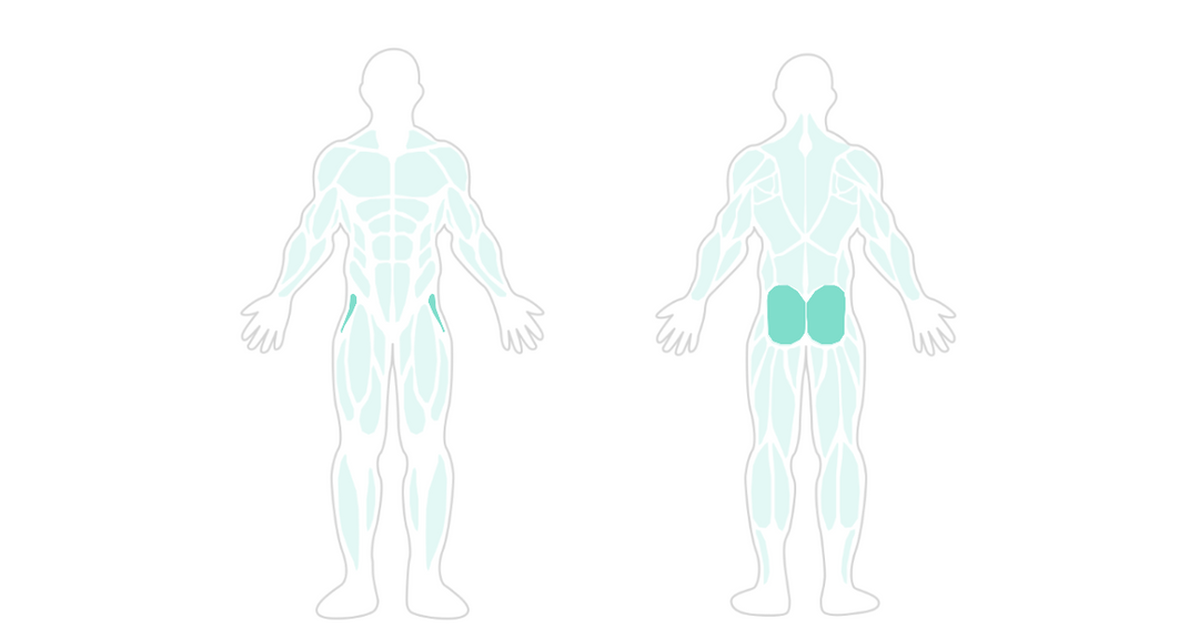 Hip Thrust – Norse Performance